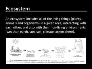 Environment - Class 7 - Geography (Social Studies) | PPTX