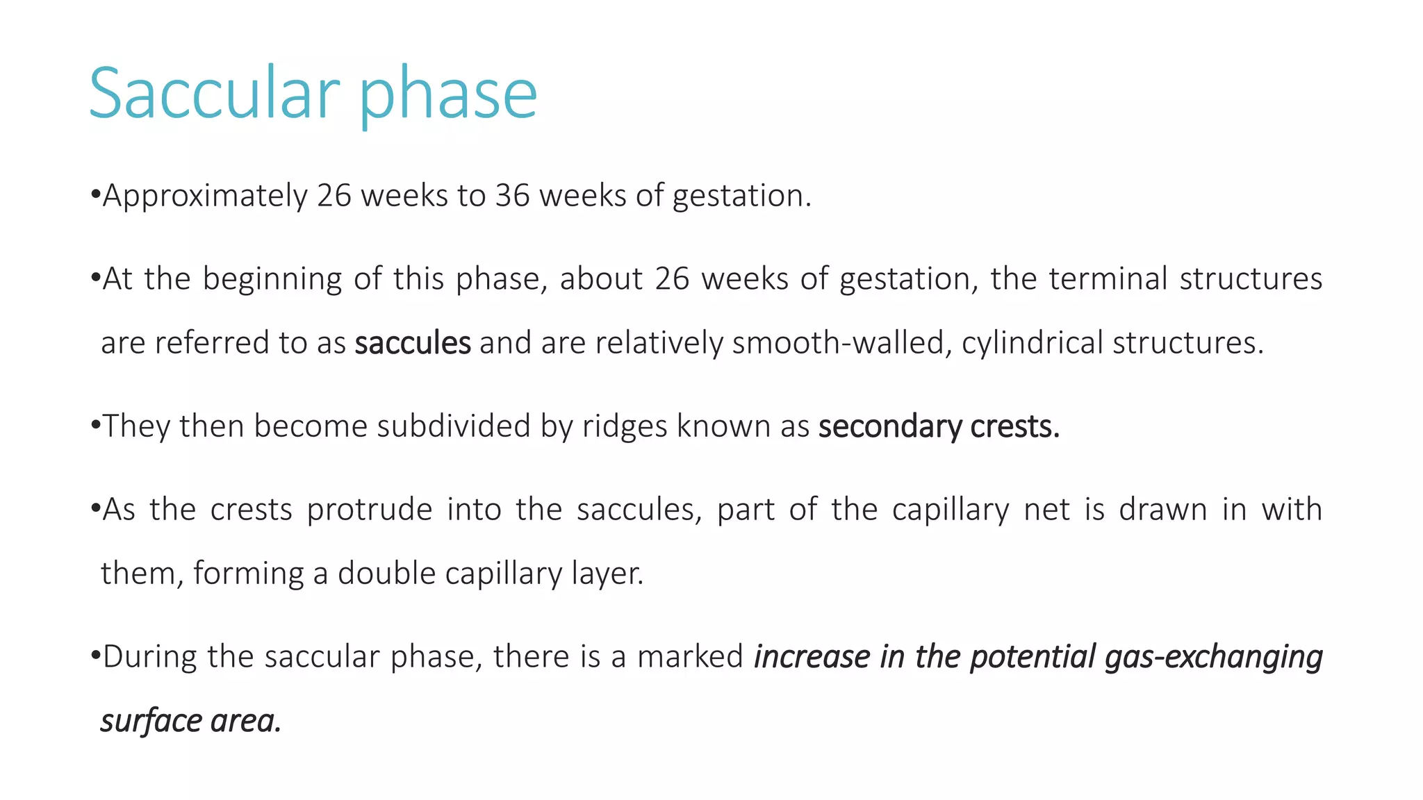 Chapter 1 fetal lung development | PPTX
