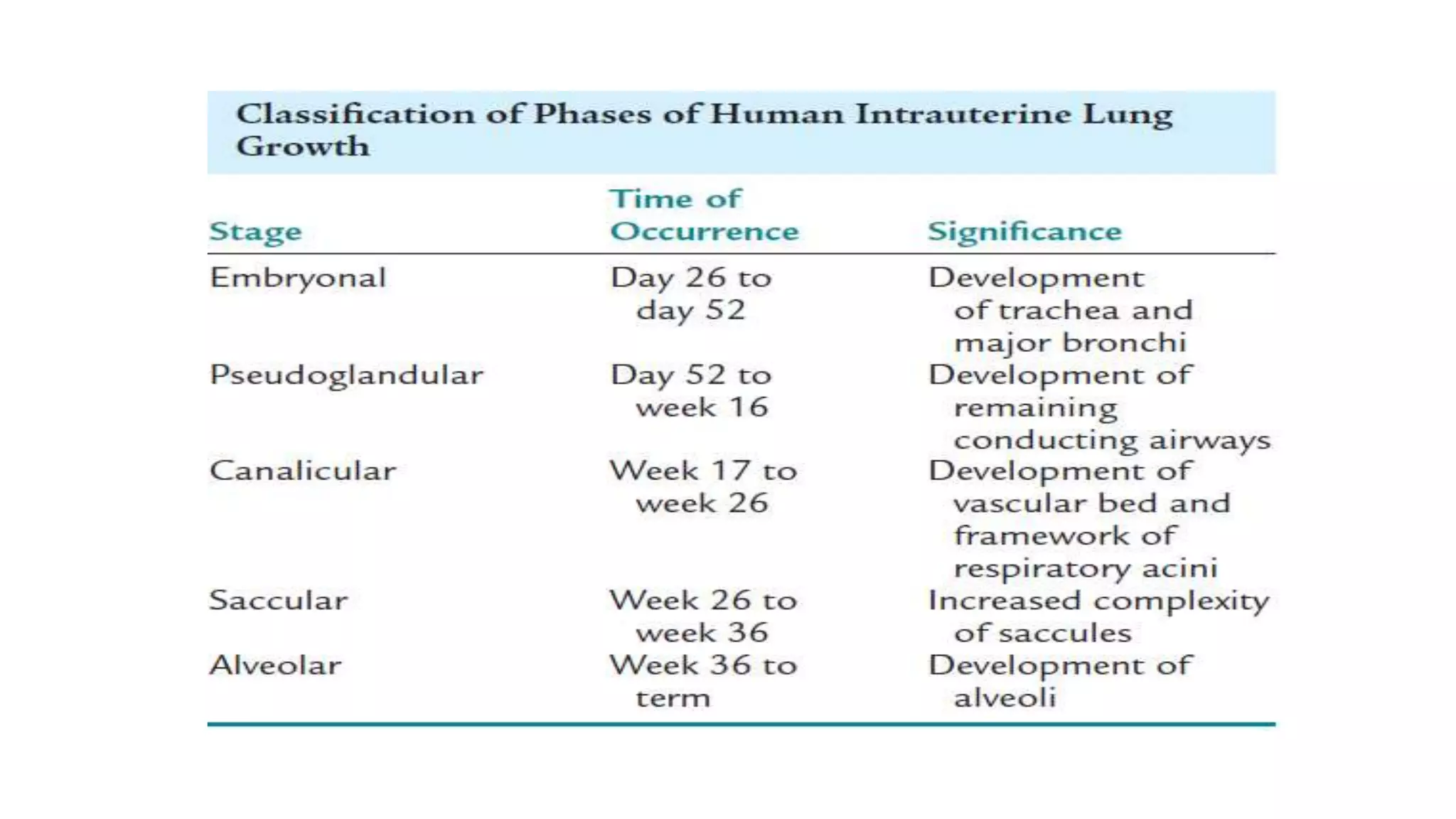 Chapter 1 fetal lung development | PPTX
