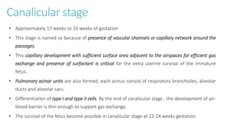 Chapter 1 fetal lung development | PPTX