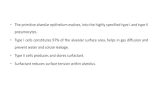 Chapter 1 fetal lung development | PPTX