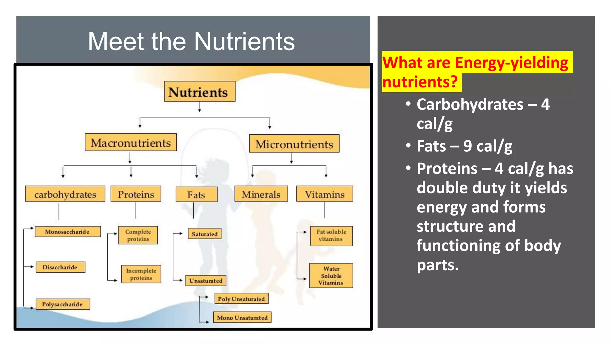 Food choices and Human health | PPTX