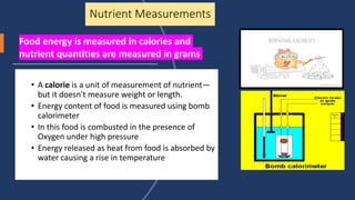 Food choices and Human health | PPTX