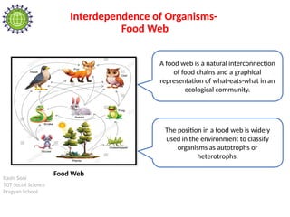 Our Environment- Class VII- CBSE (In depth learning) | PPTX
