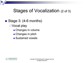 Chapter 1 Beginnings of Communication | PPT