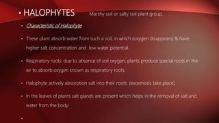 Chapter 1 homeostasis | PPT