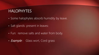 Chapter 1 homeostasis | PPT