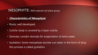 Chapter 1 homeostasis | PPT
