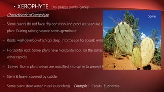 Chapter 1 homeostasis | PPT