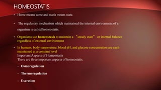 Chapter 1 homeostasis | PPT
