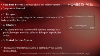 Chapter 1 homeostasis | PPT