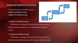 Chapter 1 homeostasis | PPT