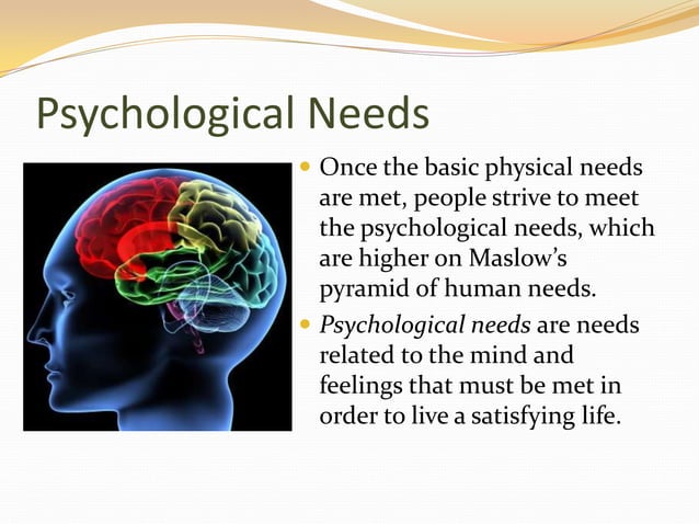 Chapter 1 housing and human needs | PPTX