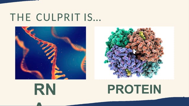 CHAPTER 1 HOW DO GENES WORKS AND SCIENCEpptx | PPTX | Genetics | Science