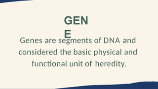 CHAPTER 1 HOW DO GENES WORKS AND SCIENCEpptx | PPTX
