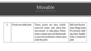Chapter 1_Human Anatomy and Physiology - The Skeletal System.pptx