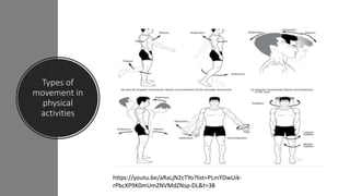 Chapter 1_Human Anatomy and Physiology - The Skeletal System.pptx