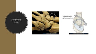 Chapter 1_Human Anatomy and Physiology - The Skeletal System.pptx