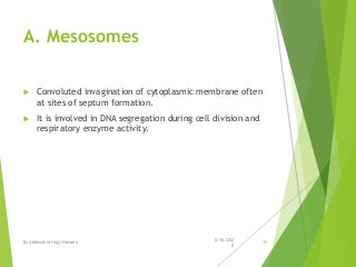 Chapter 1 intro | PPT