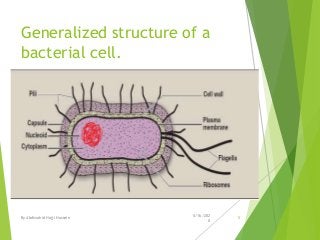 Chapter 1 intro | PPT