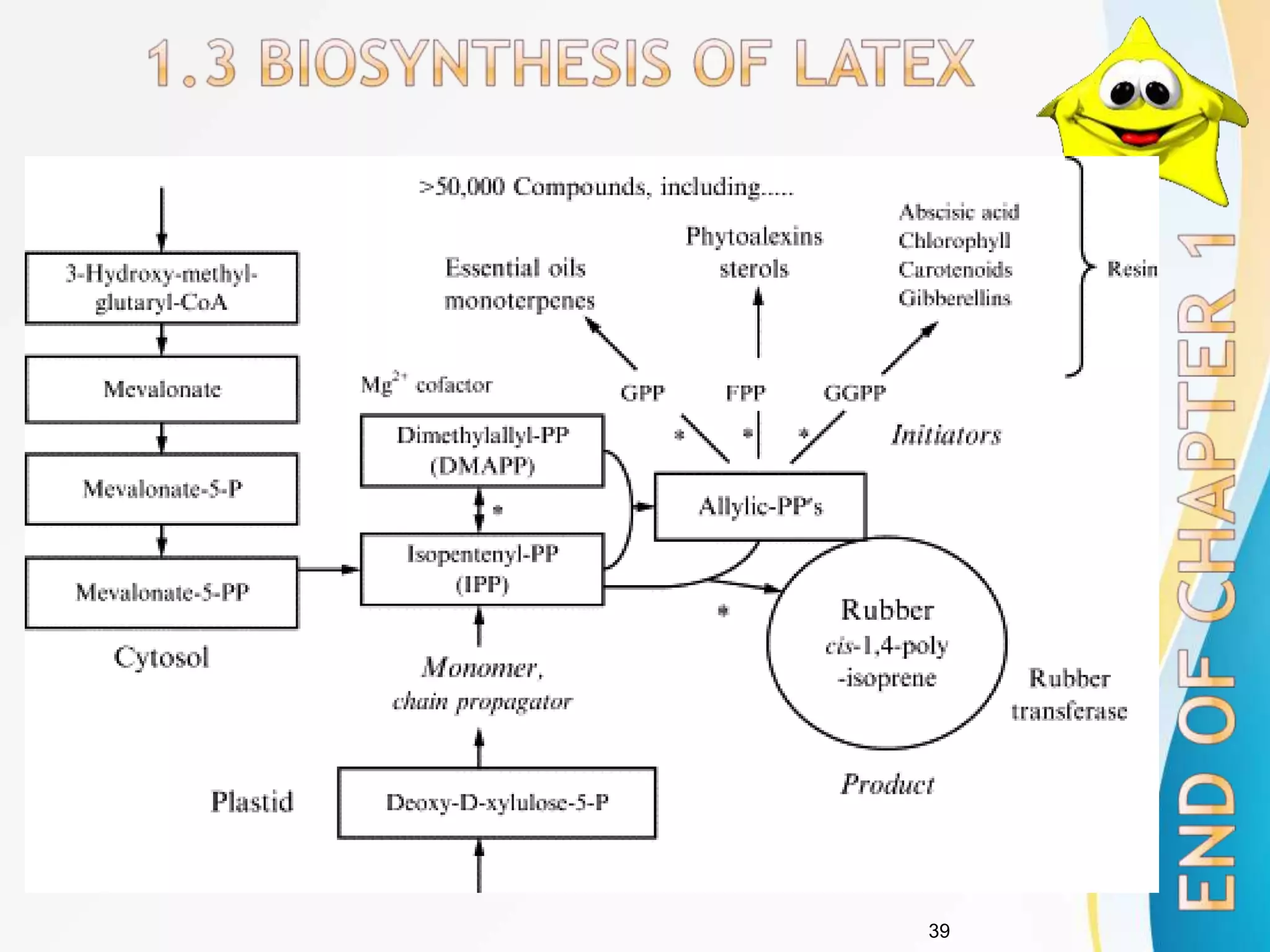 CHAPTER 1 (Intro. to NR Latex).ppt