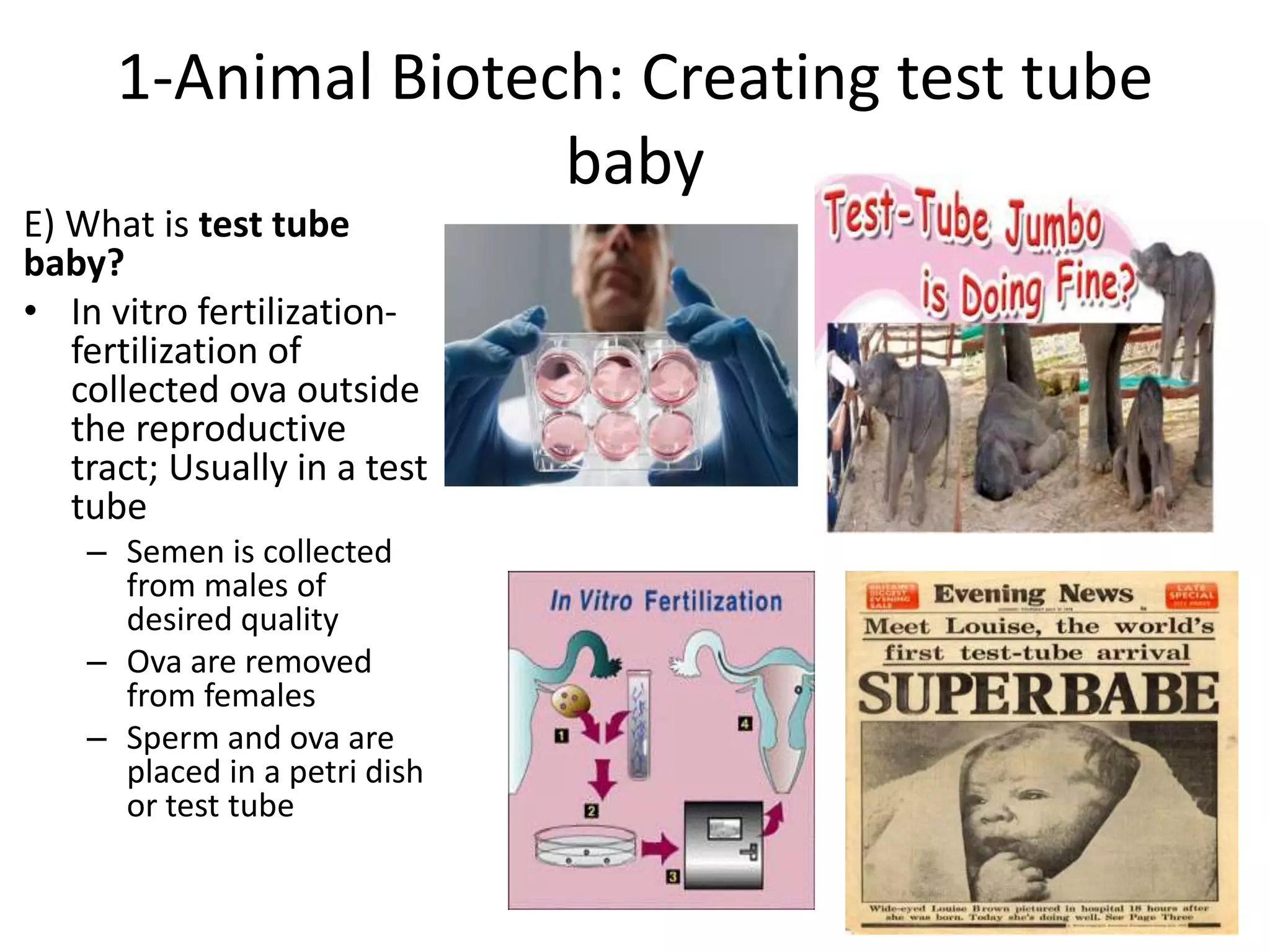 Introduction to Animal Biotechnology | PPTX