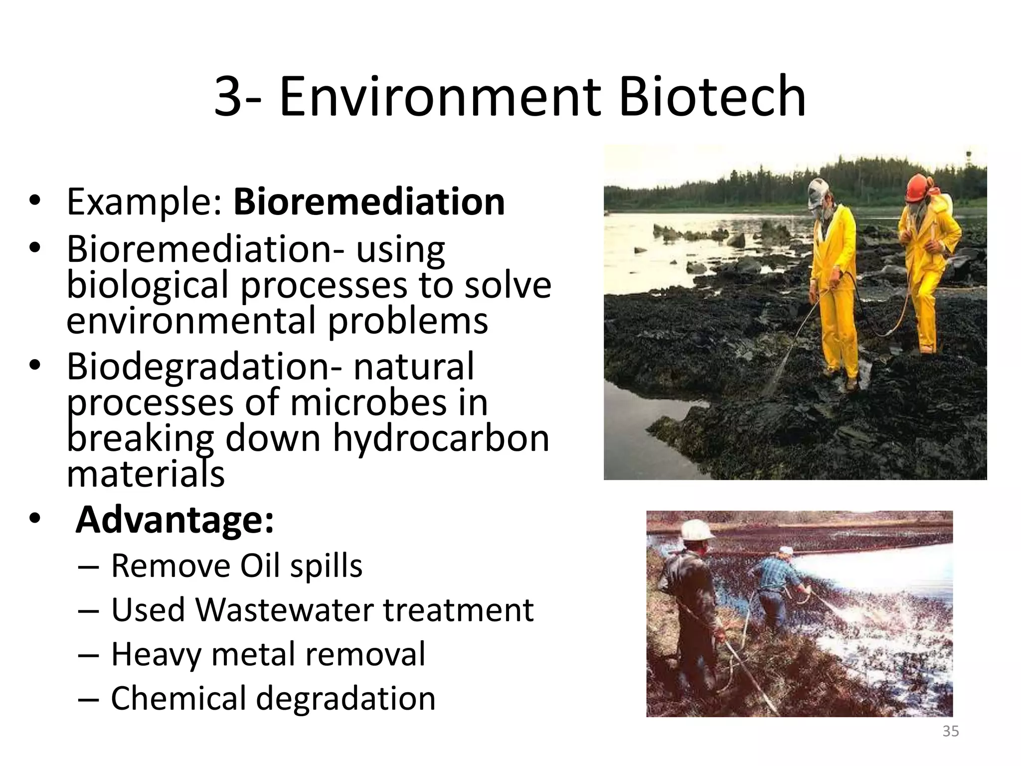 Introduction to Animal Biotechnology | PPTX