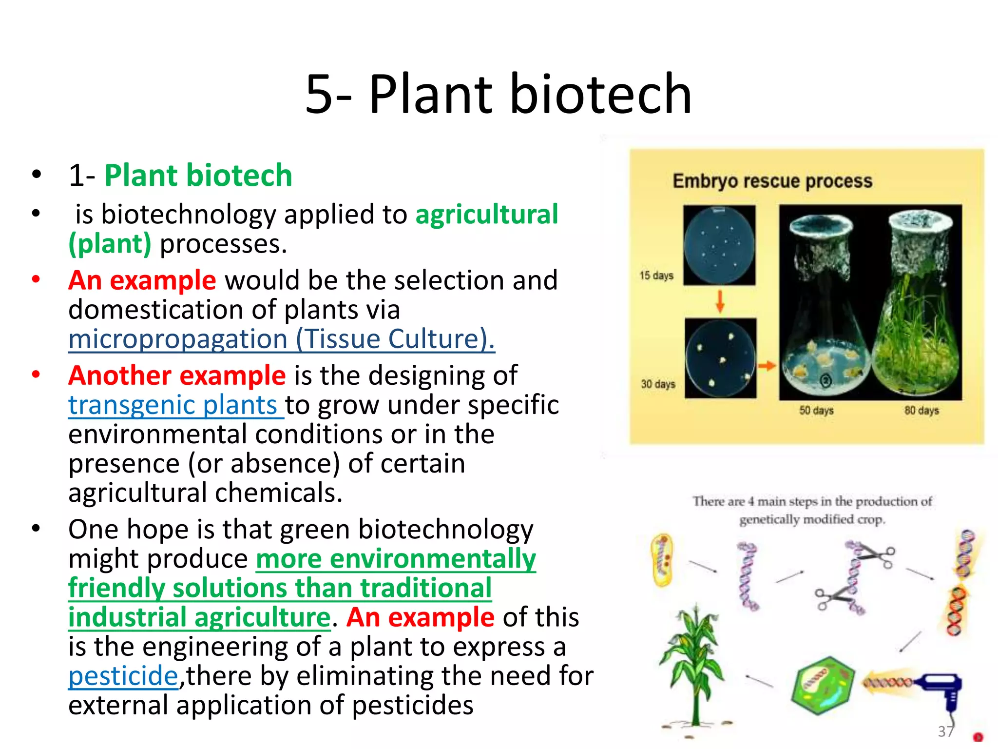 Introduction to Animal Biotechnology | PPTX