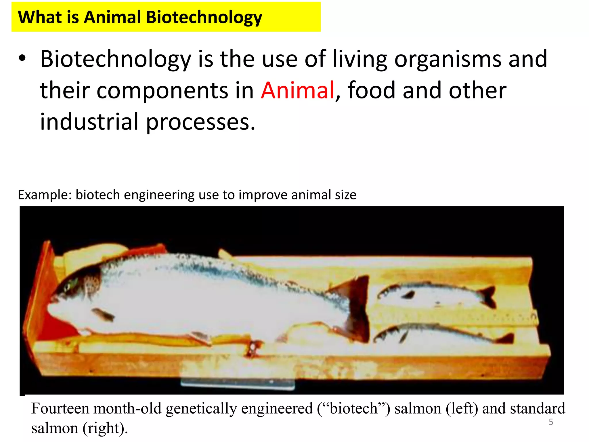 Introduction to Animal Biotechnology | PPTX