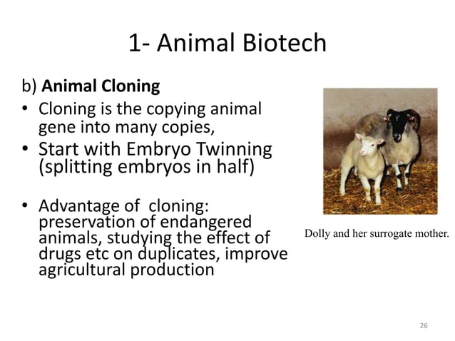 Introduction to Animal Biotechnology | PPTX | Biotech and Biomedical ...