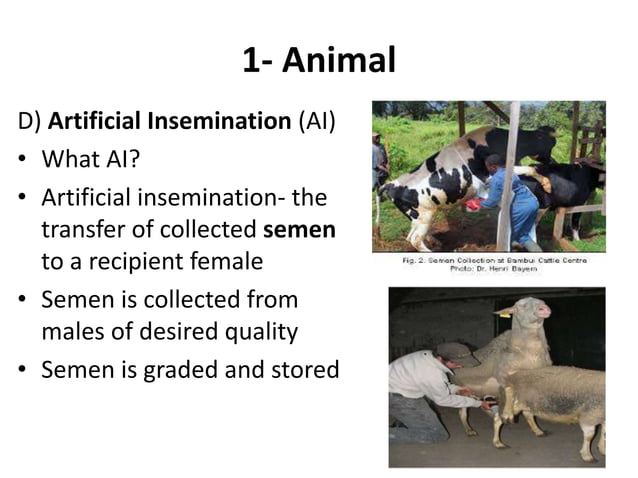Introduction to Animal Biotechnology | PPTX | Biotech and Biomedical ...