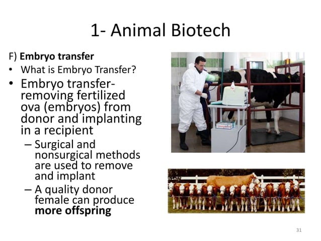 Introduction to Animal Biotechnology | PPTX | Biotech and Biomedical ...