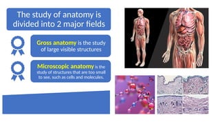 CHAPTER 1_INTRODUCING ANATOMY AND PHYSIOLOGY.pptx