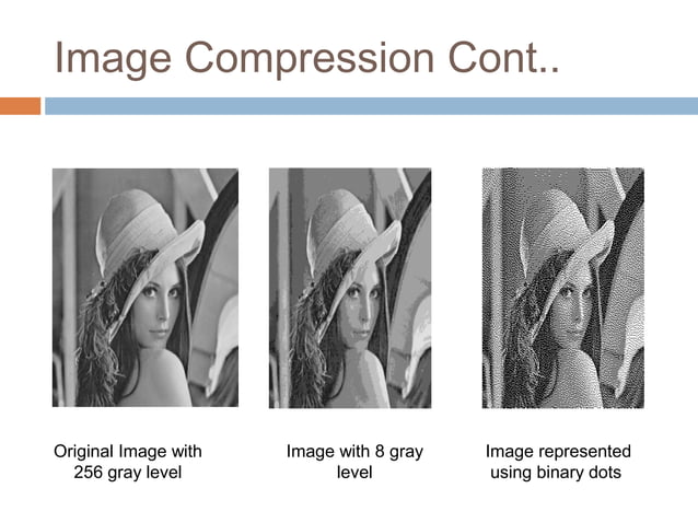 Chapter 1 introduction (Image Processing) | PPT