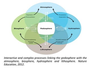 Chapter 1 (Introduction).pptx
