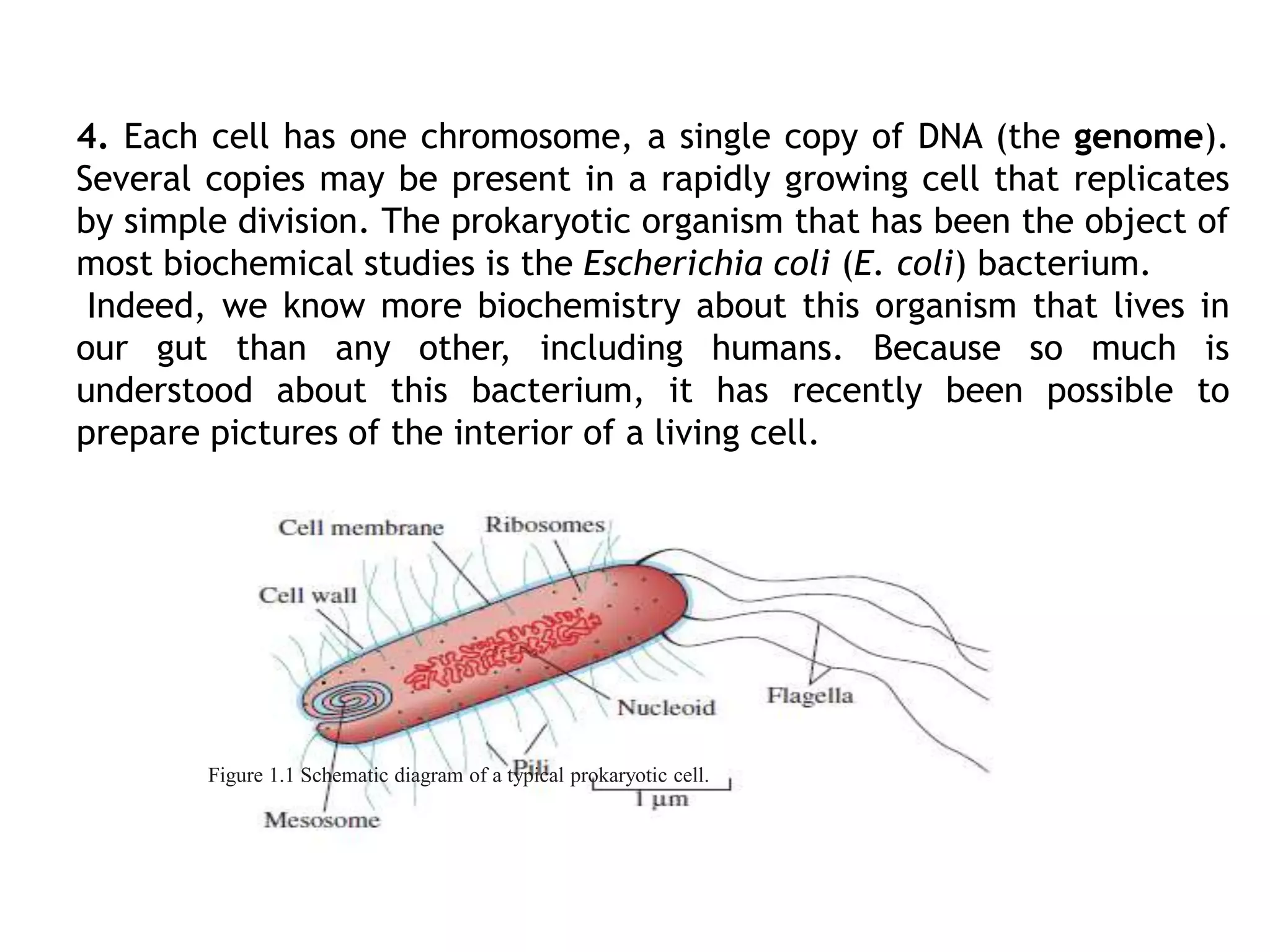 Chapter 1 Introduction to Biochemistry-1.ppt