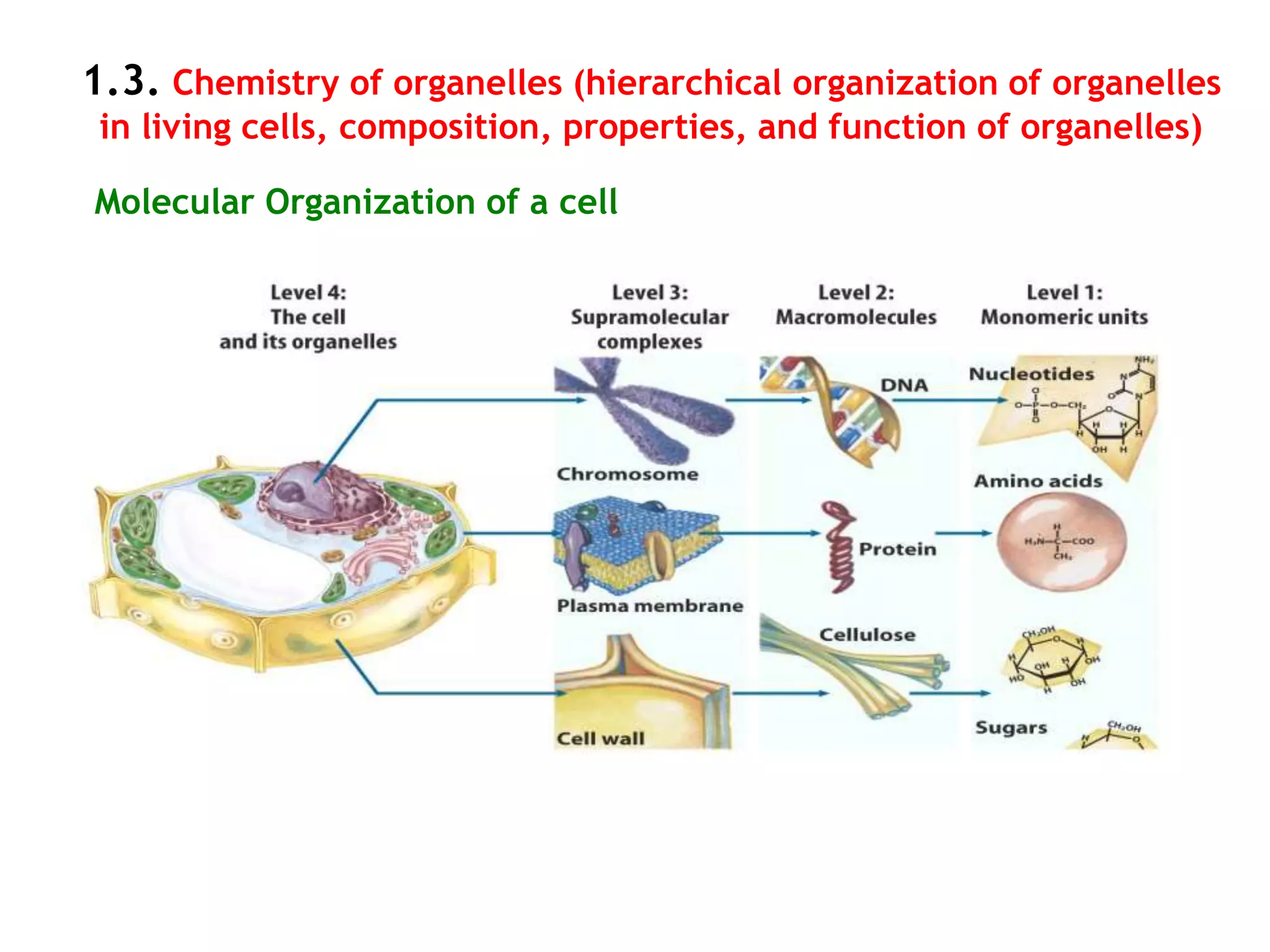 Chapter 1 Introduction to Biochemistry-1.ppt