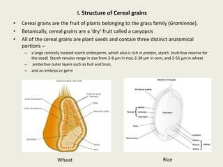 Chapter 1 Introduction to cereals, pulses and oilseeds.pptx
