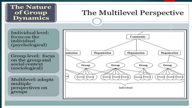 Chapter 1 introduction to group dynamics | PDF