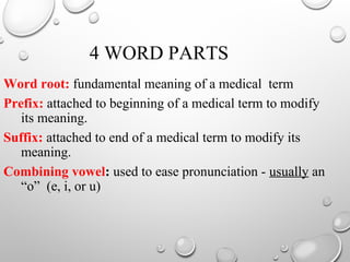 CHAPTER 1 Introduction to Medical Terminology- Basic Elements.ppt.pdf
