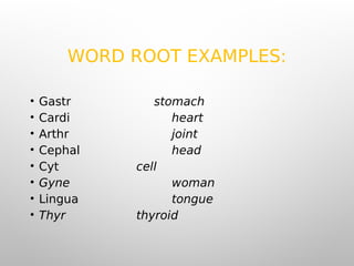 CHAPTER 1 Introduction to Medical Terminology- Basic Elements.ppt.pdf