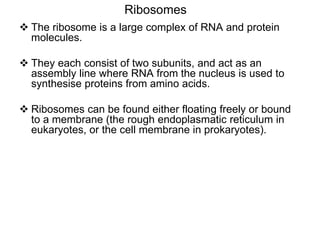 Chapter 1 Introduction to Molecular Biology.ppt