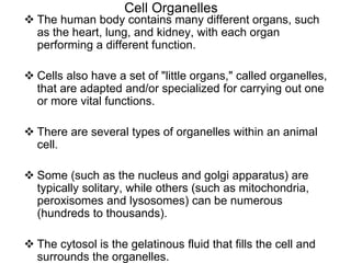 Chapter 1 Introduction to Molecular Biology.ppt