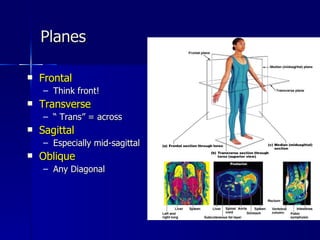 Chapter1 intromarieb | PPT | Physics | Science