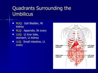 Chapter1 intromarieb | PPT | Physics | Science