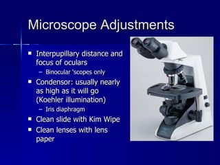Chapter1 intromarieb | PPT | Physics | Science