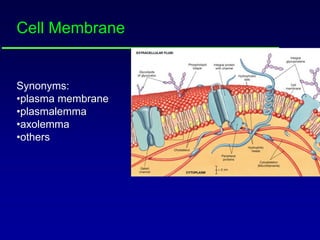 Chapter1 intromarieb | PDF