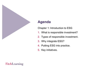 Chapter 1 Intro to ESG Investingssssssss | PDF