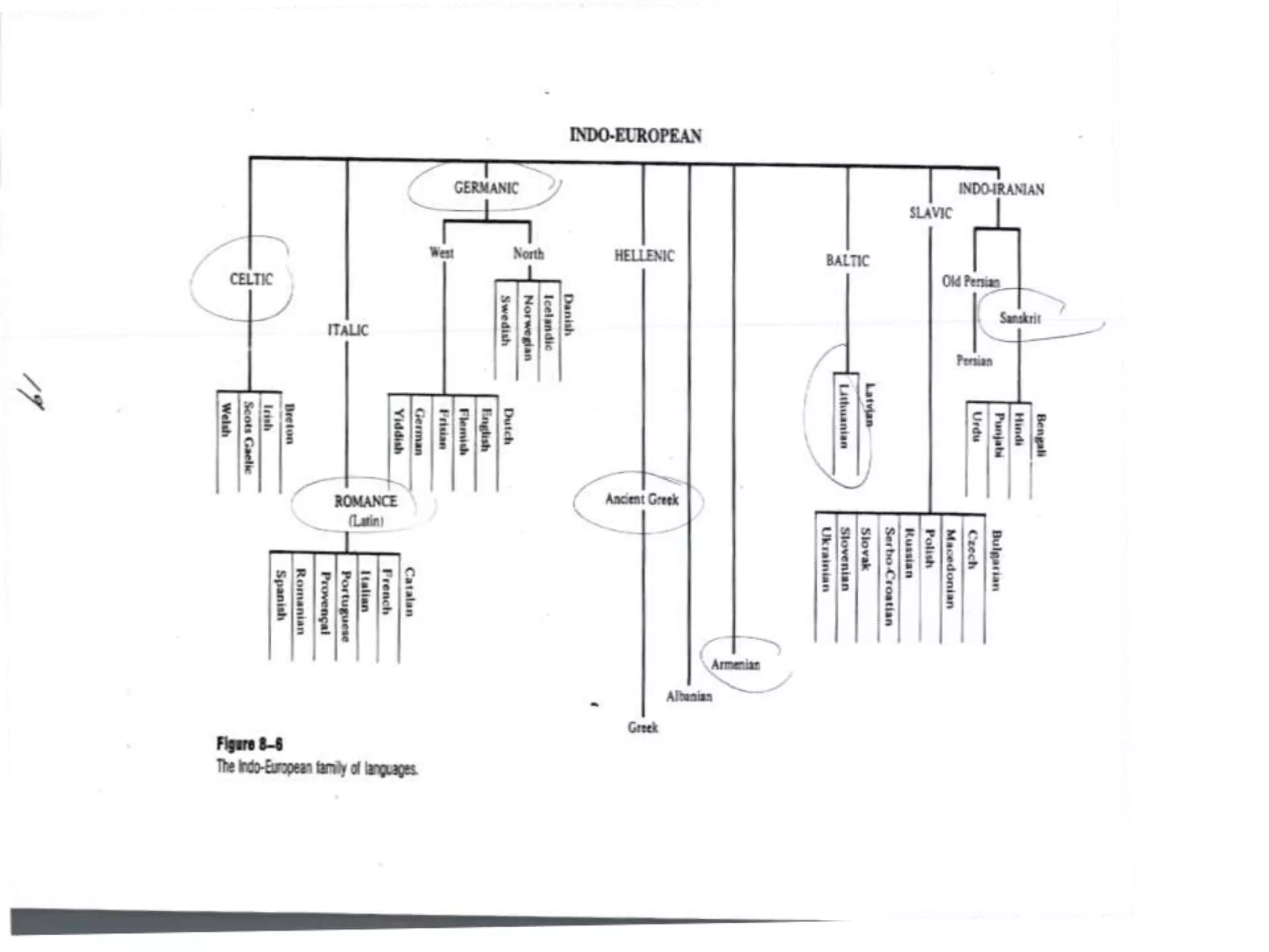 chapter1_language_history_change.pptx