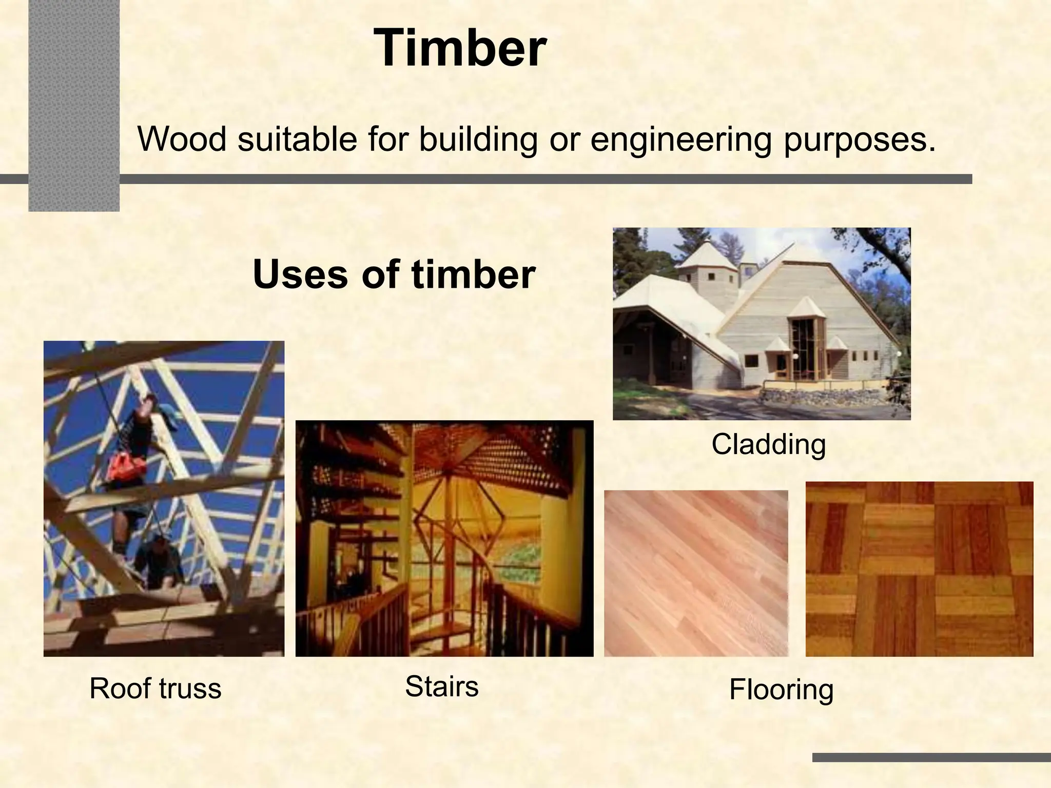 chapter 1 lecture 06 -timber.ppt